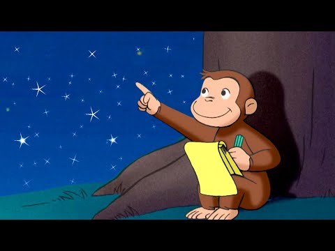 Wie viele Sterne sind am Himmel? | Coco der Neugierige | Cartoons für Kinder