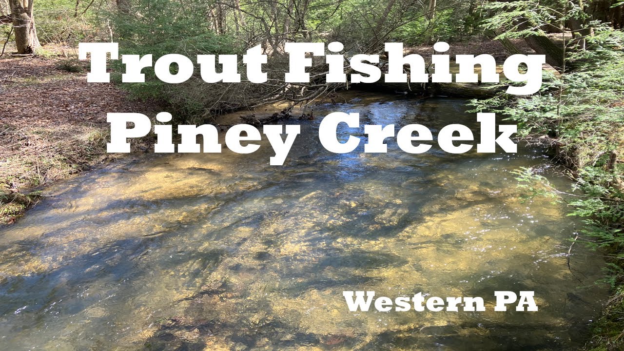 Trout Fishing Piney Creek, Western PA #fishing, #troutfishing, # ...