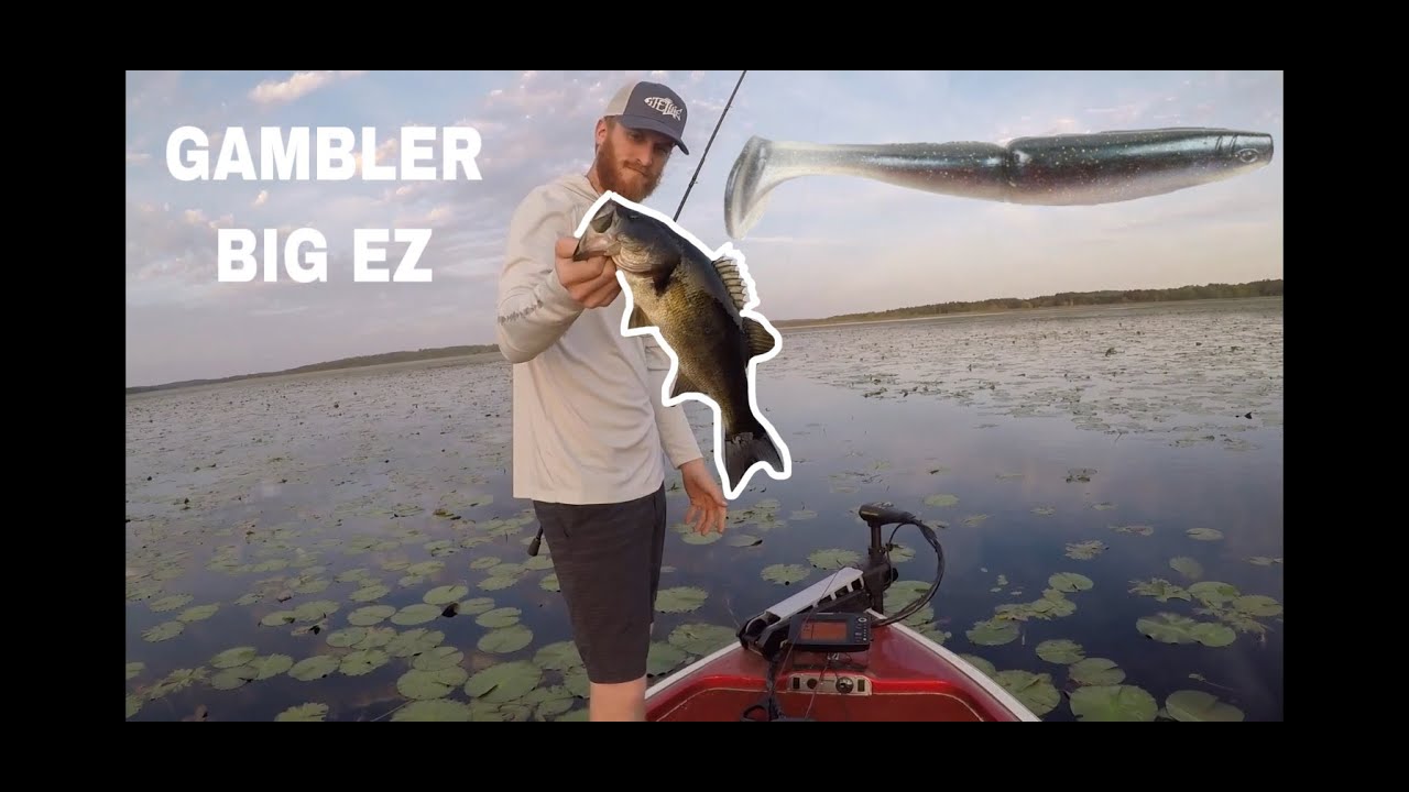 Florida Topwater Fishing in HEAVY Lily Pads - YouTube
