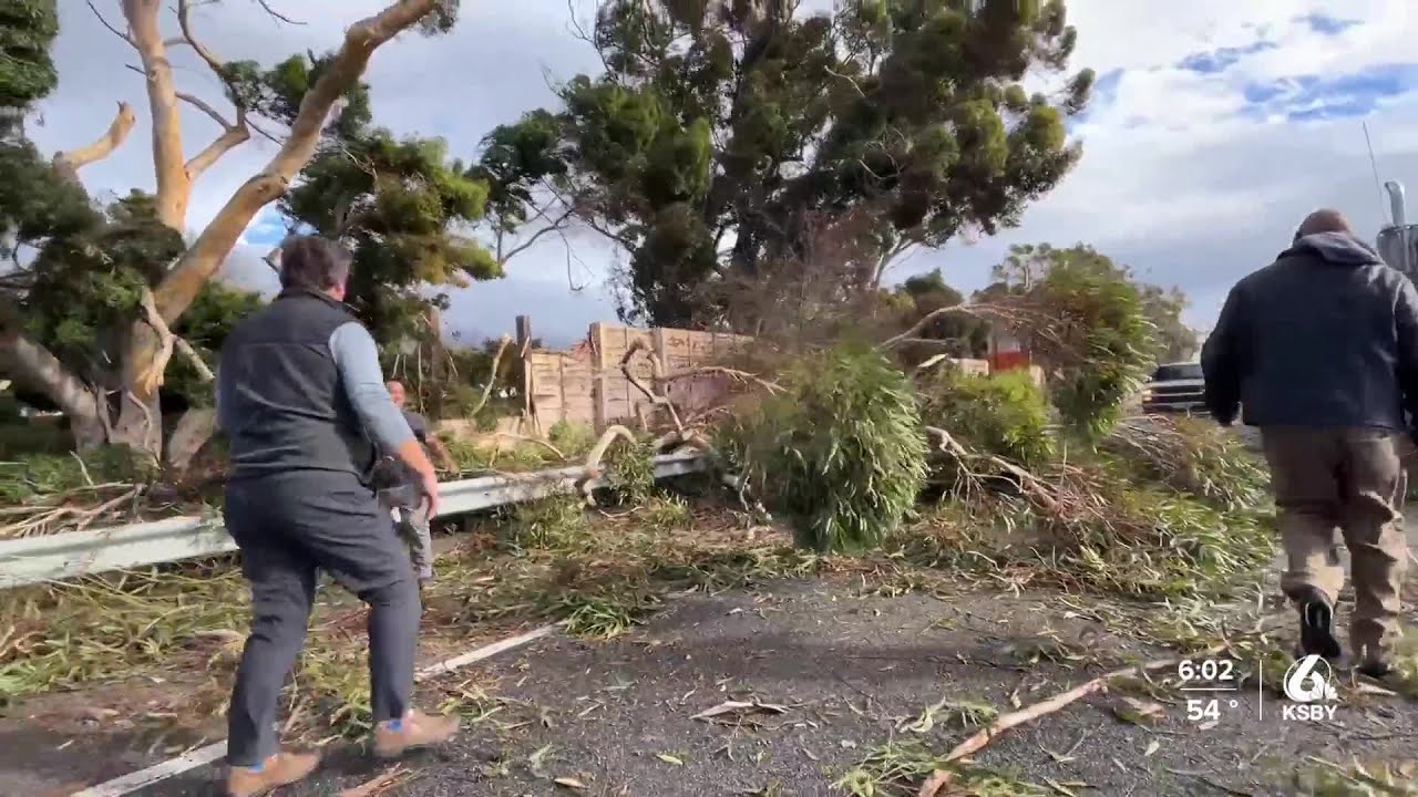 Strong winds bring down tree limbs in Santa Barbara area - YouTube