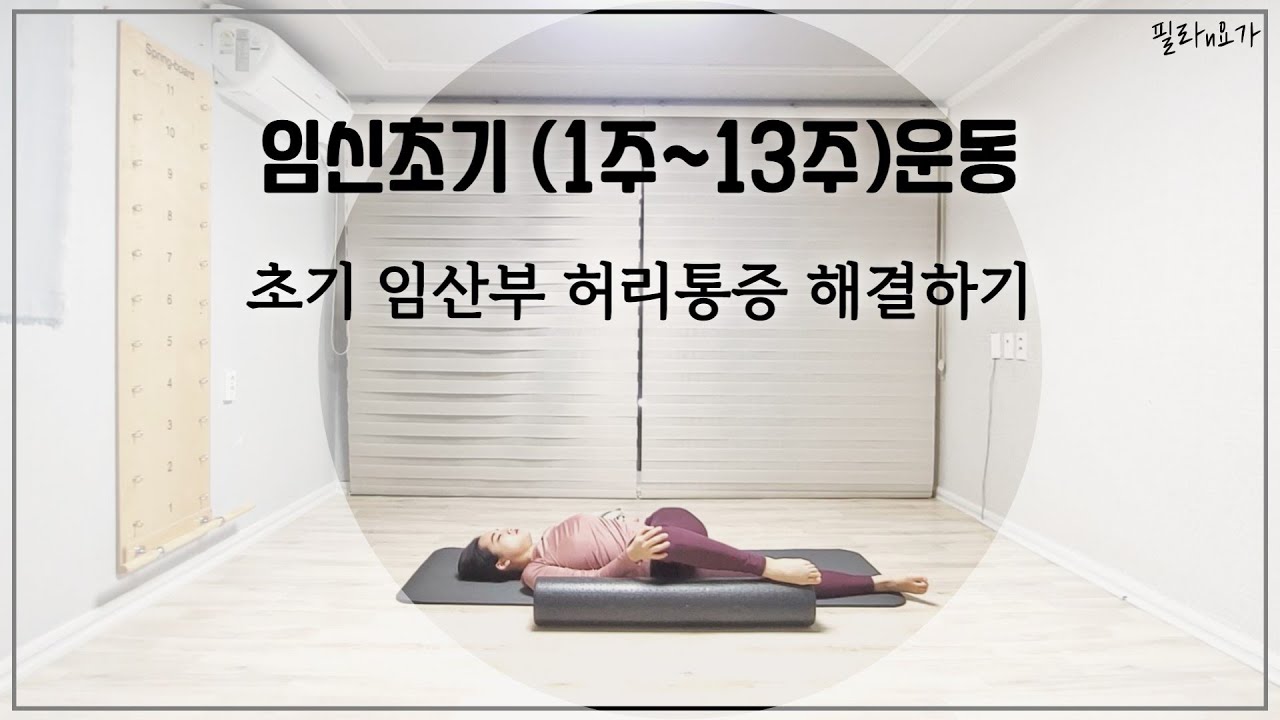 필라n요가 임신 ~ 임신 13주 임신초기 임산부 운동 프로그램 임산부 허리 통증 해결하기 골반 써클 오리