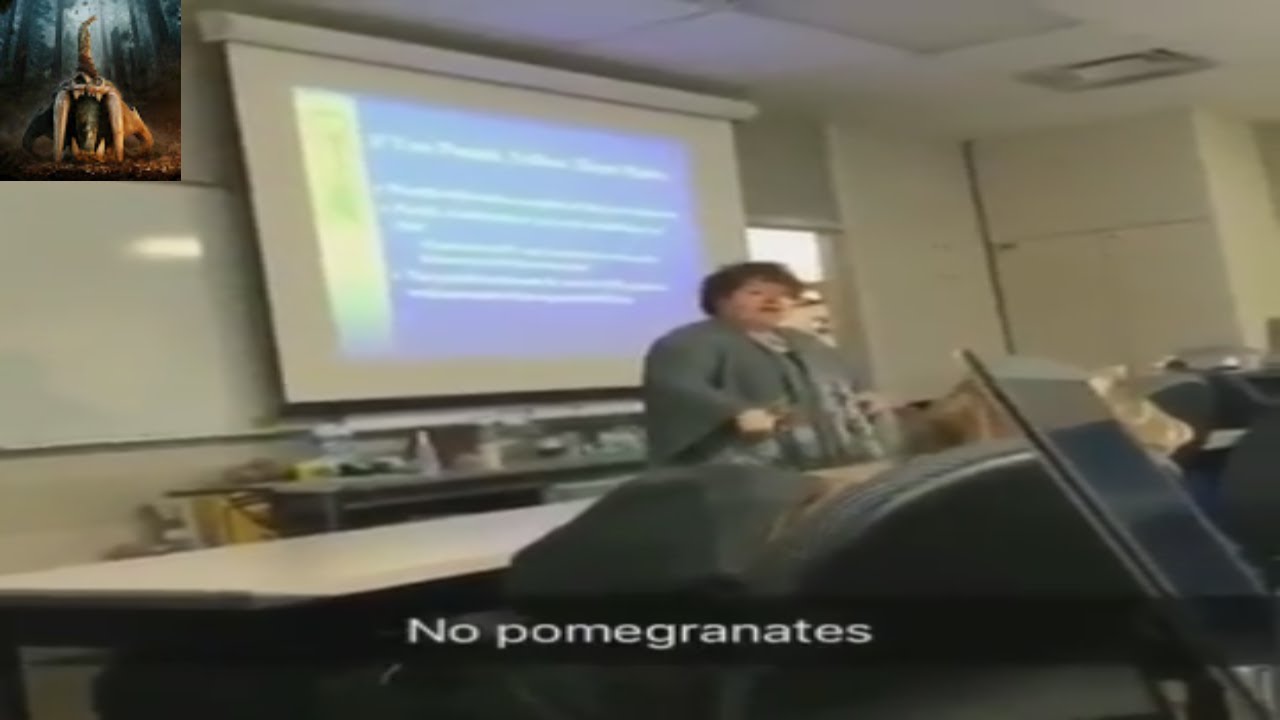 NO POMEGRANATES MEME - YouTube