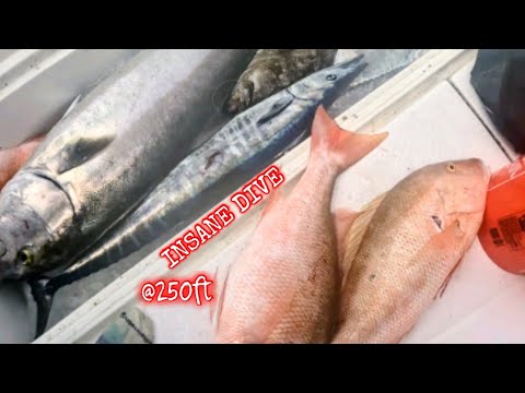 INSANE SUBMARINE WRECK DIVE @ 250ft - 6 fish & BONUS WAHOO - YouTube