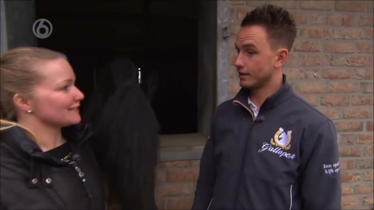 Beste Paard van Stal stoeterij galloper - YouTube