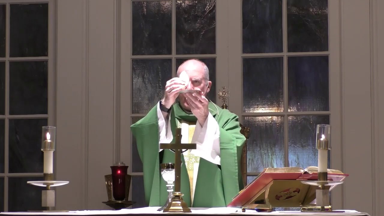 The Mass Explained Part 5 & 6 - Communion Rite & Concluding Rite - YouTube