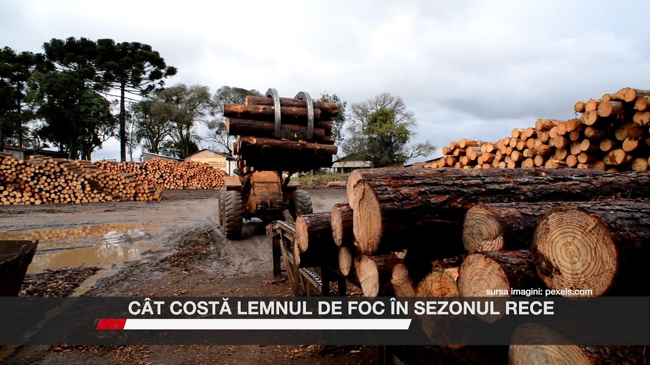 Cât costă lemnul de foc în sezonul rece - YouTube