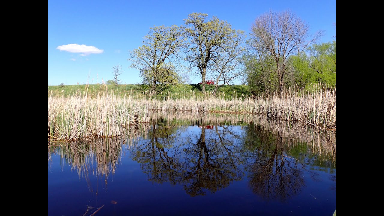 Kayaking Rush Lake (near Oshkosh Wisconsin) - YouTube