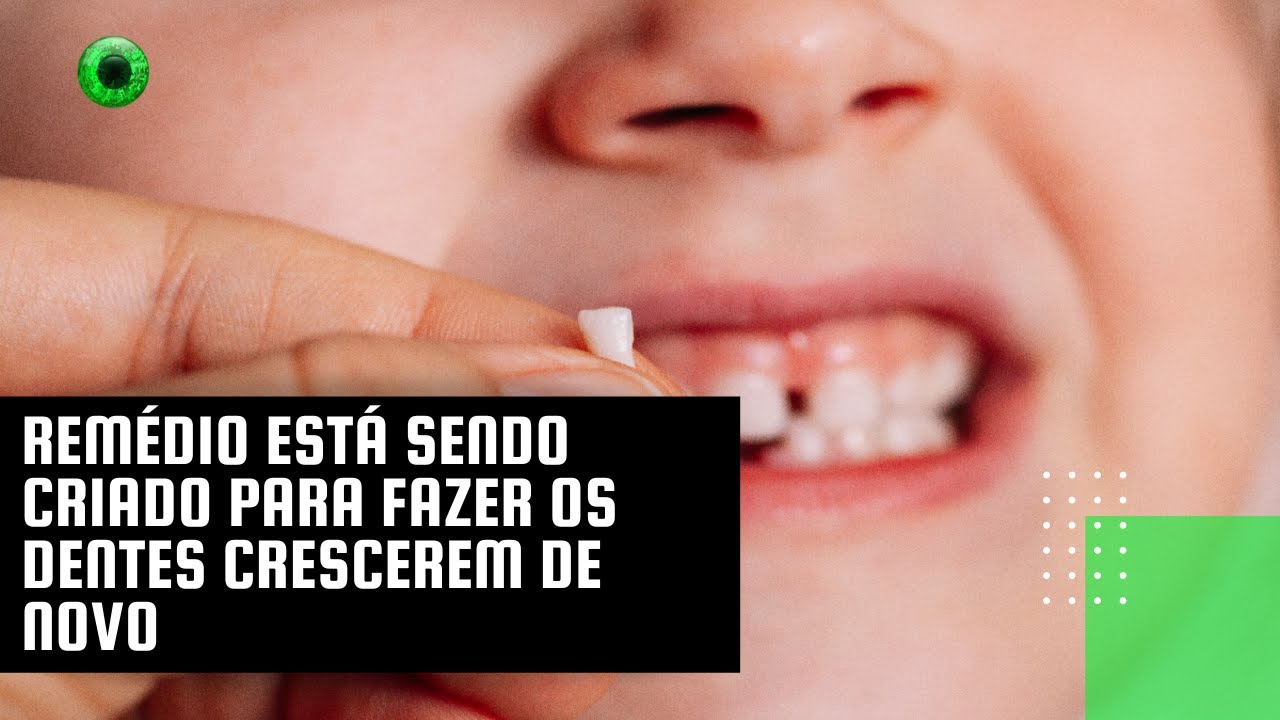 Maior Dente Do Mundo Aspirina Pode Regenerar Dente Após Cárie, Dizem