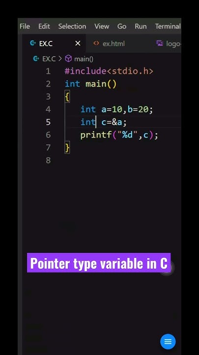 Pointer Variable In C Programming Shorts Cprogramming Placement Pointers Pointersinc Youtube