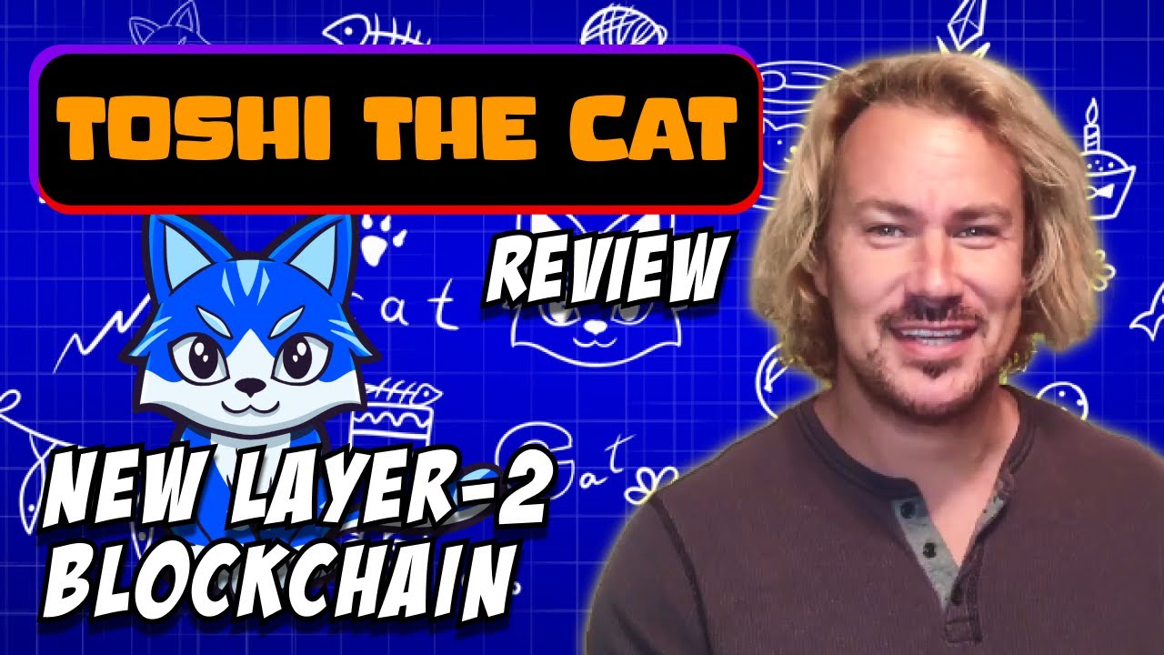 Toshi The Cat Token | The face of Base & Brian Armstrong's beloved cat ...