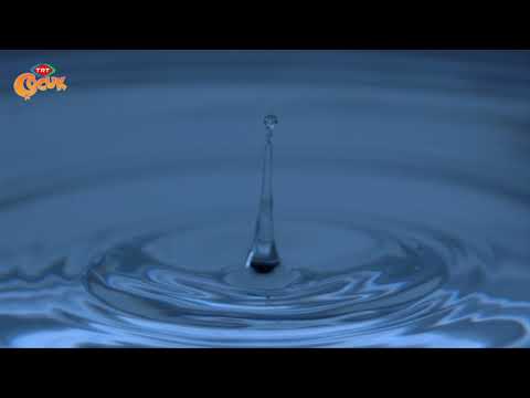 Dikkatli Bak - 23. Bölüm