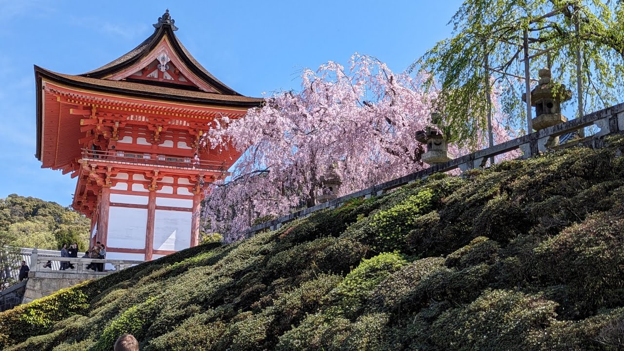 Giappone Hanami Tour 2024 Ep.3 - YouTube