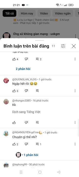 choá săn đang kiếm con mồi - YouTube