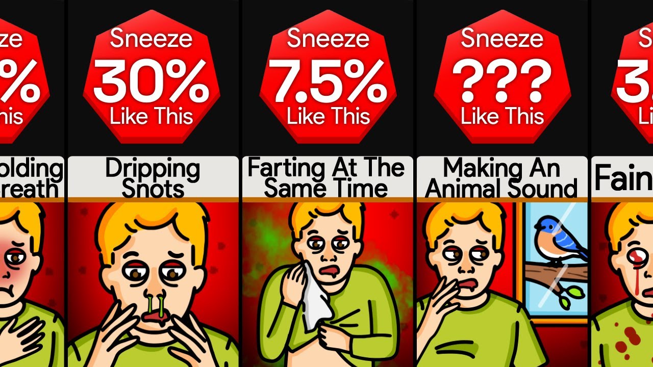 Comparison: Types Of Sneezers - YouTube