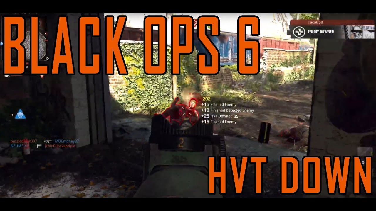 BO6 HVT - High Value Target - Call of Duty Black Ops 6 - YouTube