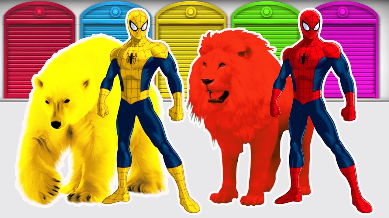 Learn Colors With Spiderman Animals Funny Videos For Children ...