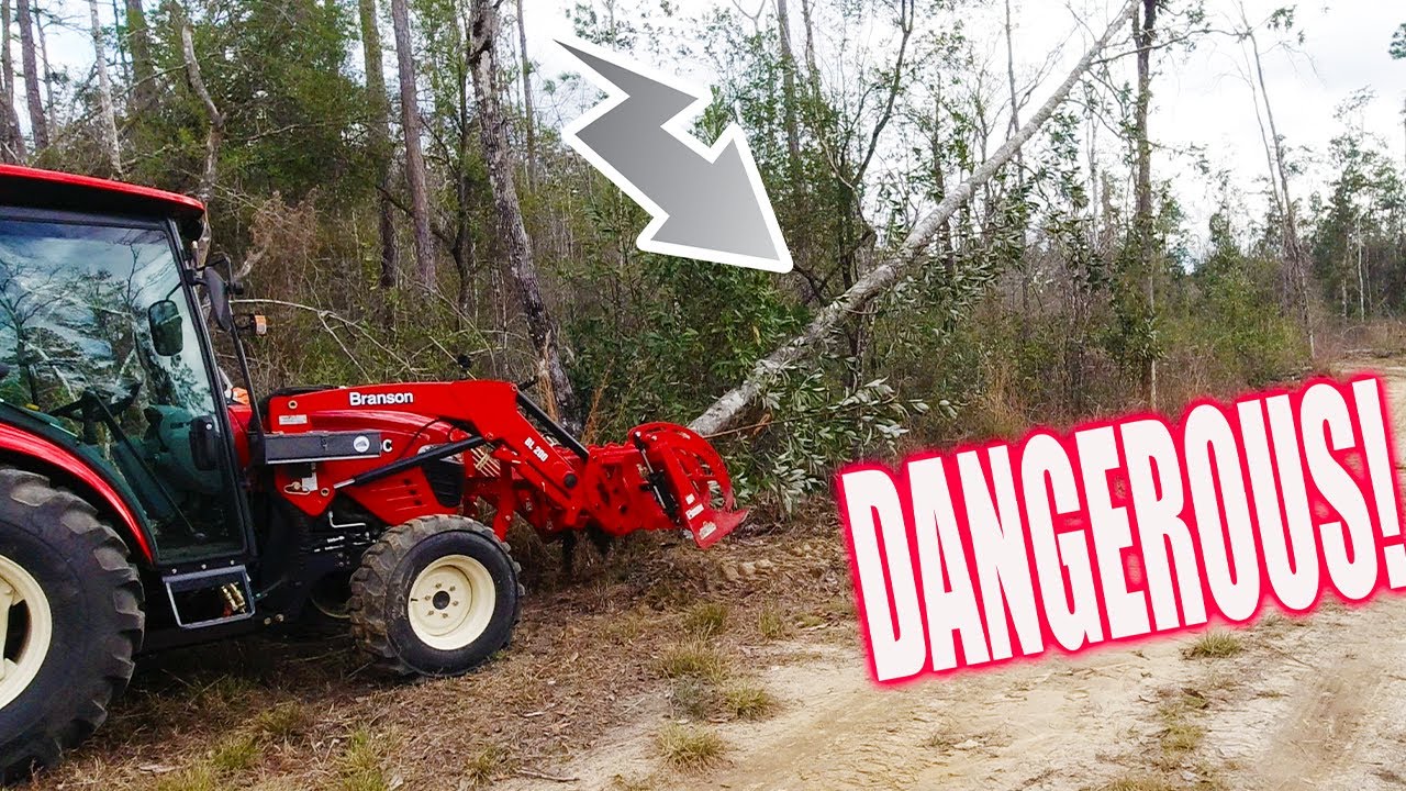 Different Take down Techniques for Different TREES - YouTube