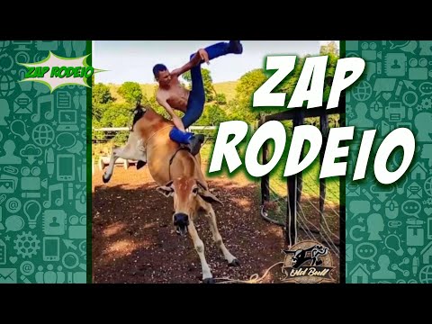 ✅ ZAP RODEIO #9