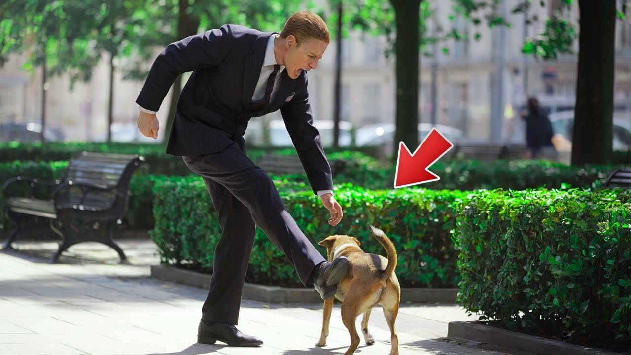 Millonario PATEA y HUMILLA a un perro callejero, y lo que hizo el perro ...