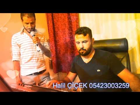Halil Cicek Kara Gözlüm