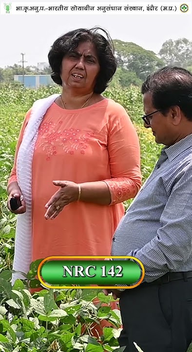 NRC 142 जल भराव की स्तिथी मे सहनशील है, डॉ अनीता रानी, डॉ विनीत कुमार|| IISR INDORE - YouTube