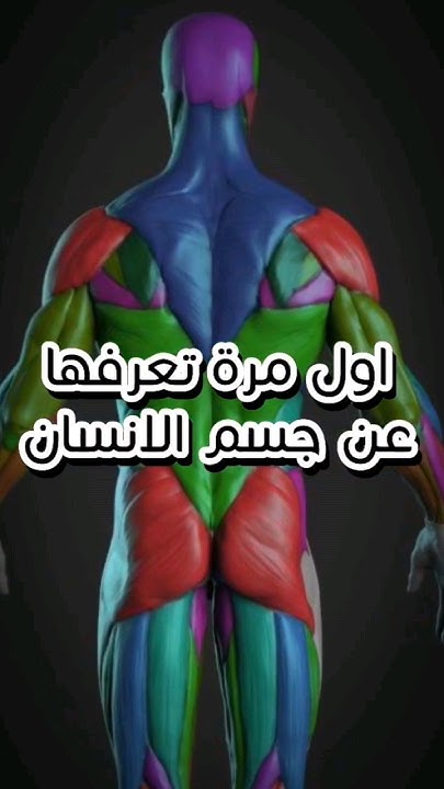 أغرب 5 معلومات عن جسم الانسان👀😮 Youtube