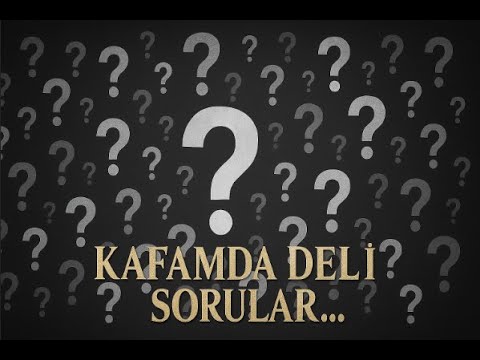 Aklımda Deli Sorular - Wolf Studio