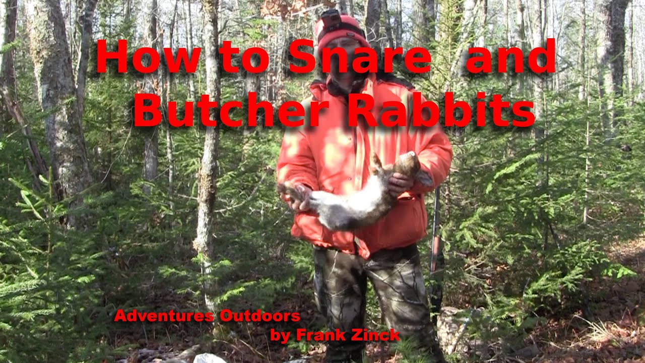 How to Snare and Butcher Rabbits - Ultimate Guide - YouTube