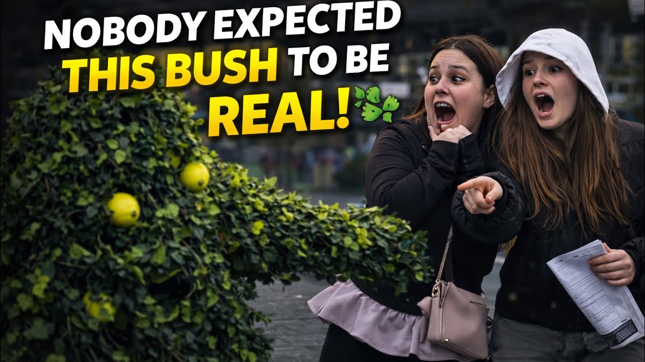 Bushman prank: This ‘Bush’ Ruined Their Day 😂 (Instant Regret)” # ...