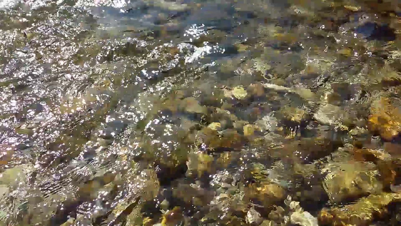 Creek Sounds, splash of Water and Light wind 8 hours - YouTube