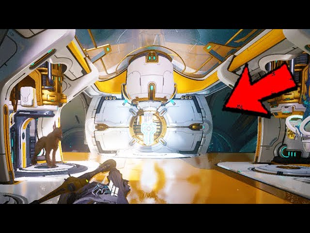 Warframe Liset Decorations