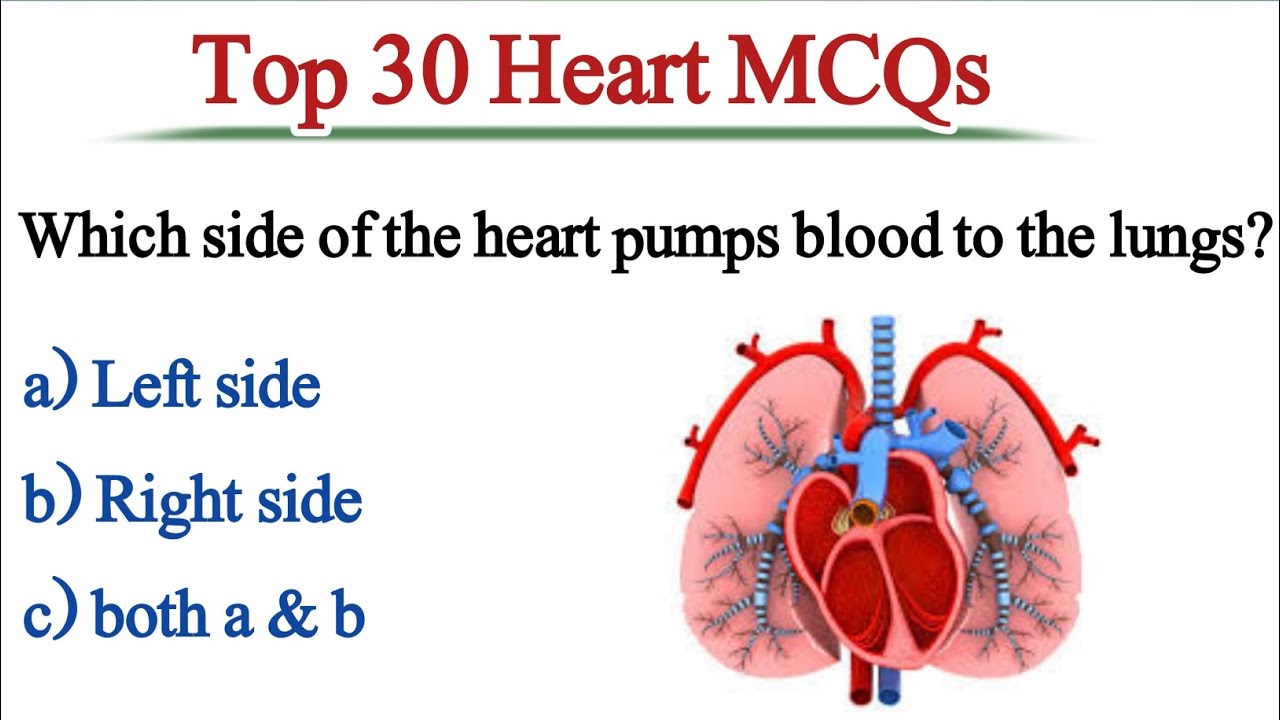 Top 30 Heart Mcqs || Heart Important Mcqs For All Competitive Exam ...