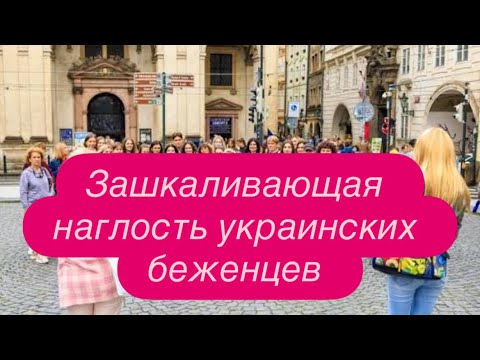 Халява заканчивается,спасибо этому дому, пойдем к другому. #новости #беженцыизукраины 