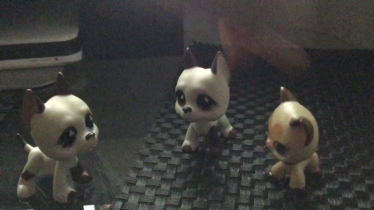 Chanson Chocolat Lartiste - YouTube