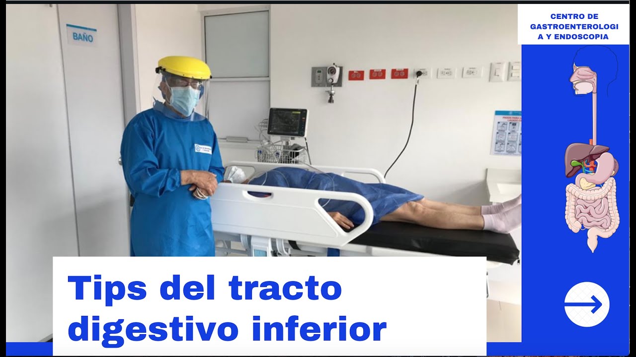 Tips Tracto gastrointestinal inferior - YouTube