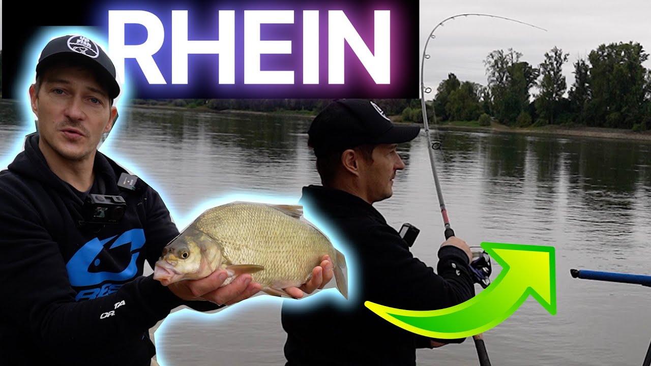 ANGELN AM RHEIN - TIPPS FÜR EINSTEIGER - YouTube