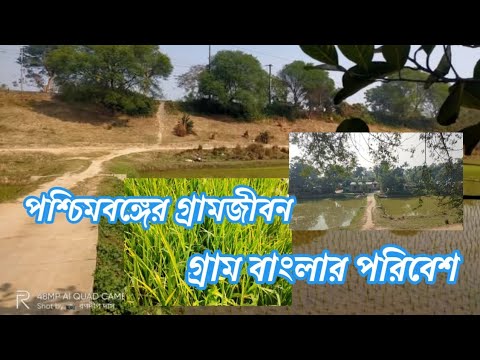 Natural Beauty of Rural Bengal।। Some Moments in The Lap of Nature ...