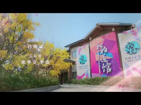 Whirlwind​ Girl 2 theme song