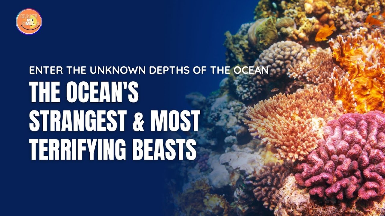 Deep Sea’s Hidden Wonders | Unseen Creatures & Ocean Secrets Revealed ...