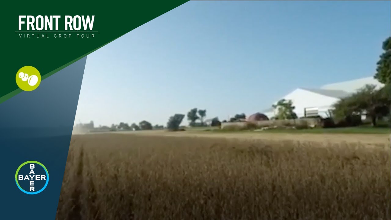 The Front Row: DEKALB® Early Maturity Soybean Varieties for Eastern ...