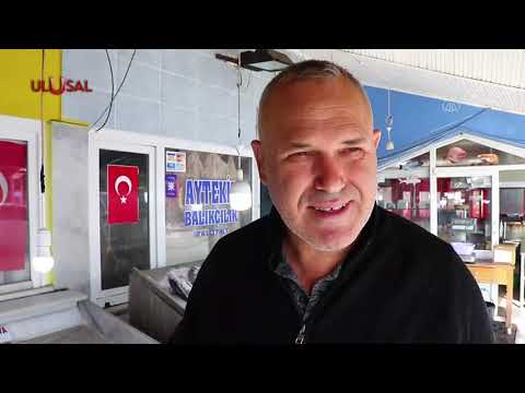 Tekirdağ'da tezgahlar lüferle çeşitlendi