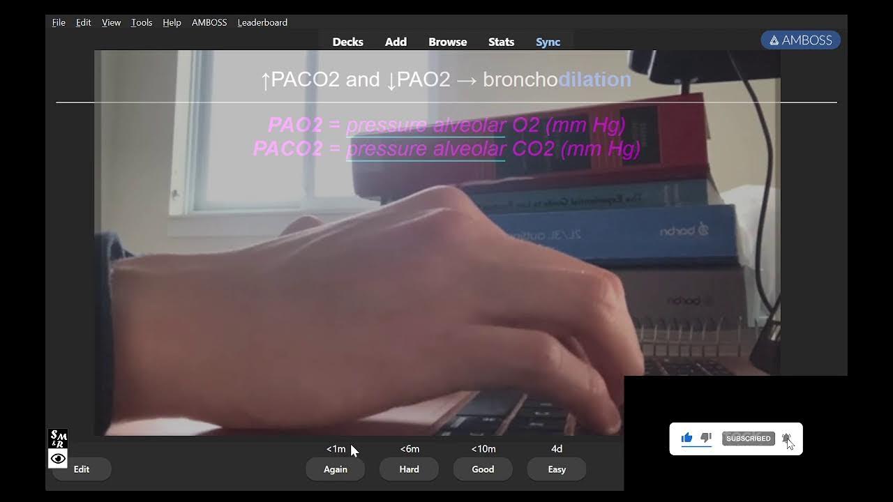 Anki Study Grind (Road to 250 Subscribers) - YouTube