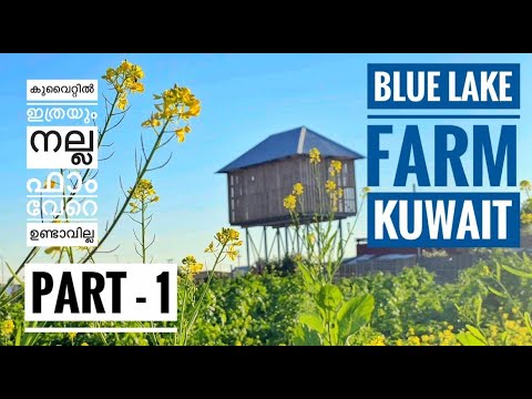 𝗕𝗶𝗴𝗴𝗲𝘀𝘁 𝗙𝗮𝗿𝗺 𝗶𝗻 𝗞𝘂𝘄𝗮𝗶𝘁 | 𝗔𝗹𝗯𝗼𝗵𝗮𝘆𝗿𝗮 | 𝗕𝗹𝘂𝗲 𝗟𝗮𝗸𝗲 𝗙𝗮𝗿𝗺 - YouTube