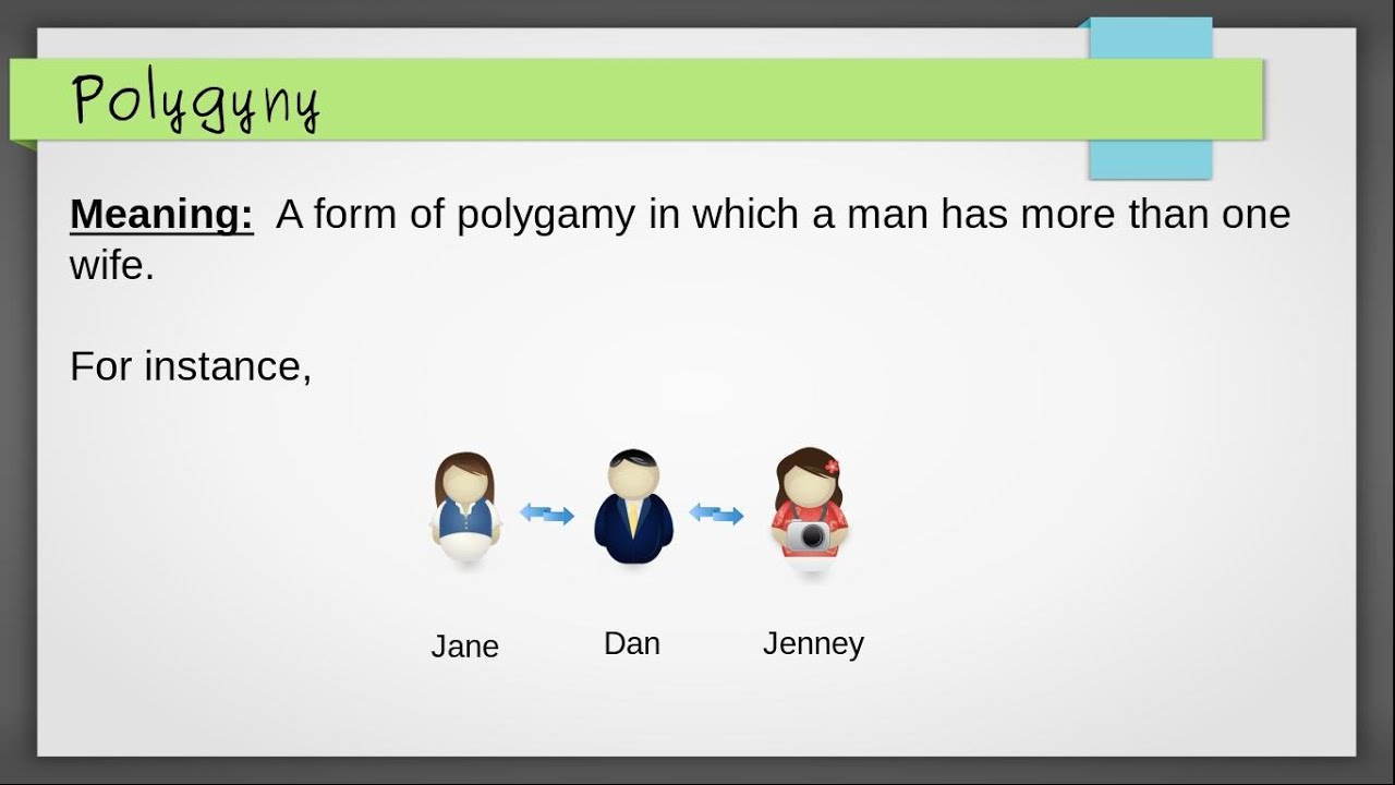 Polygyny - YouTube