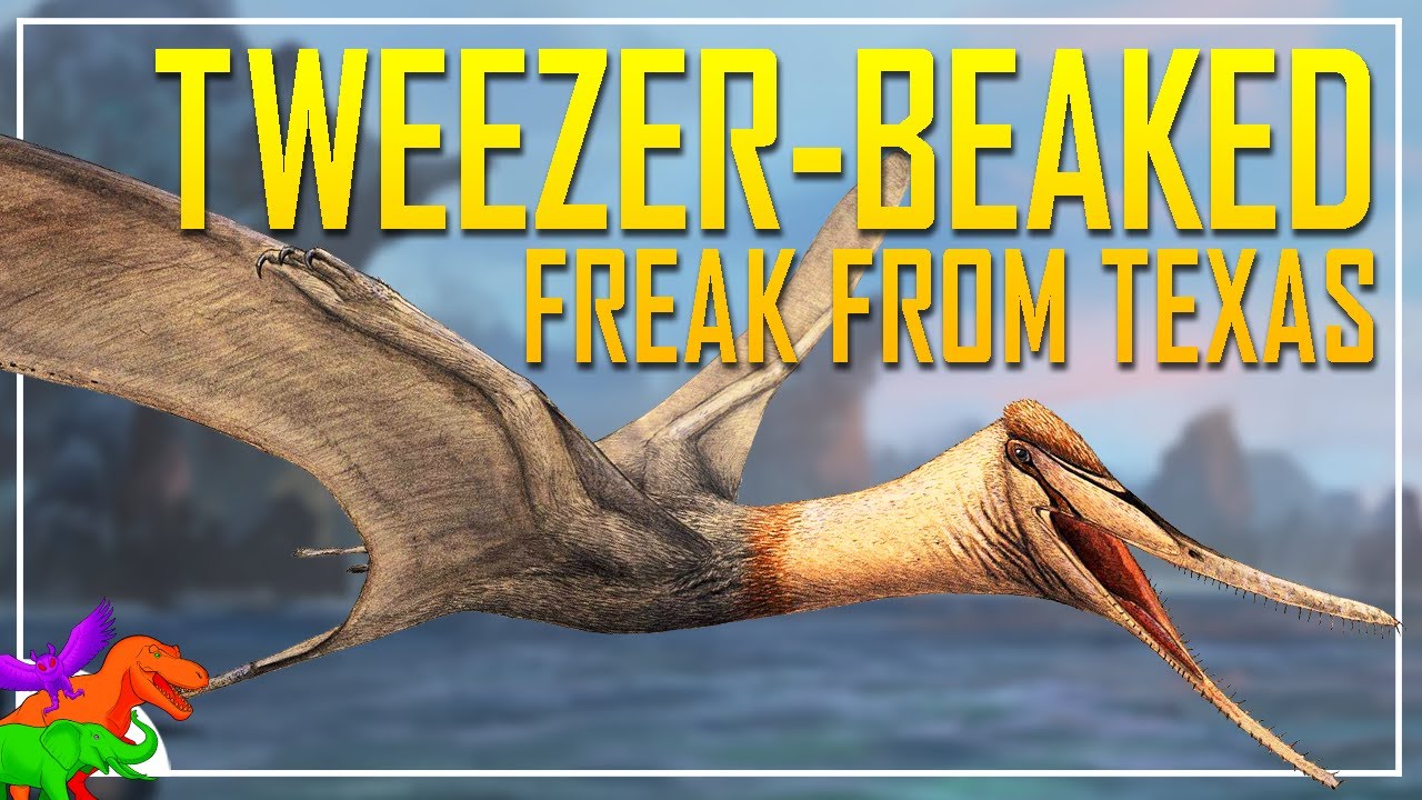 Tweezer-Beaked Freak From Texas | Aetodactylus | Dragons Of Reality ...