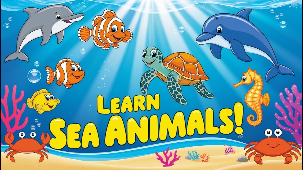 Learn about Sea Animals | Ocean Animals for Kids | Sea Animals Song ...