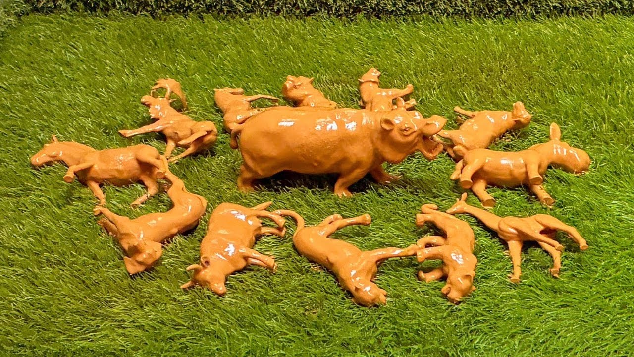 A Dancing Hippo : Play, Learn, and Explore with Farm Animals & Jungle ...