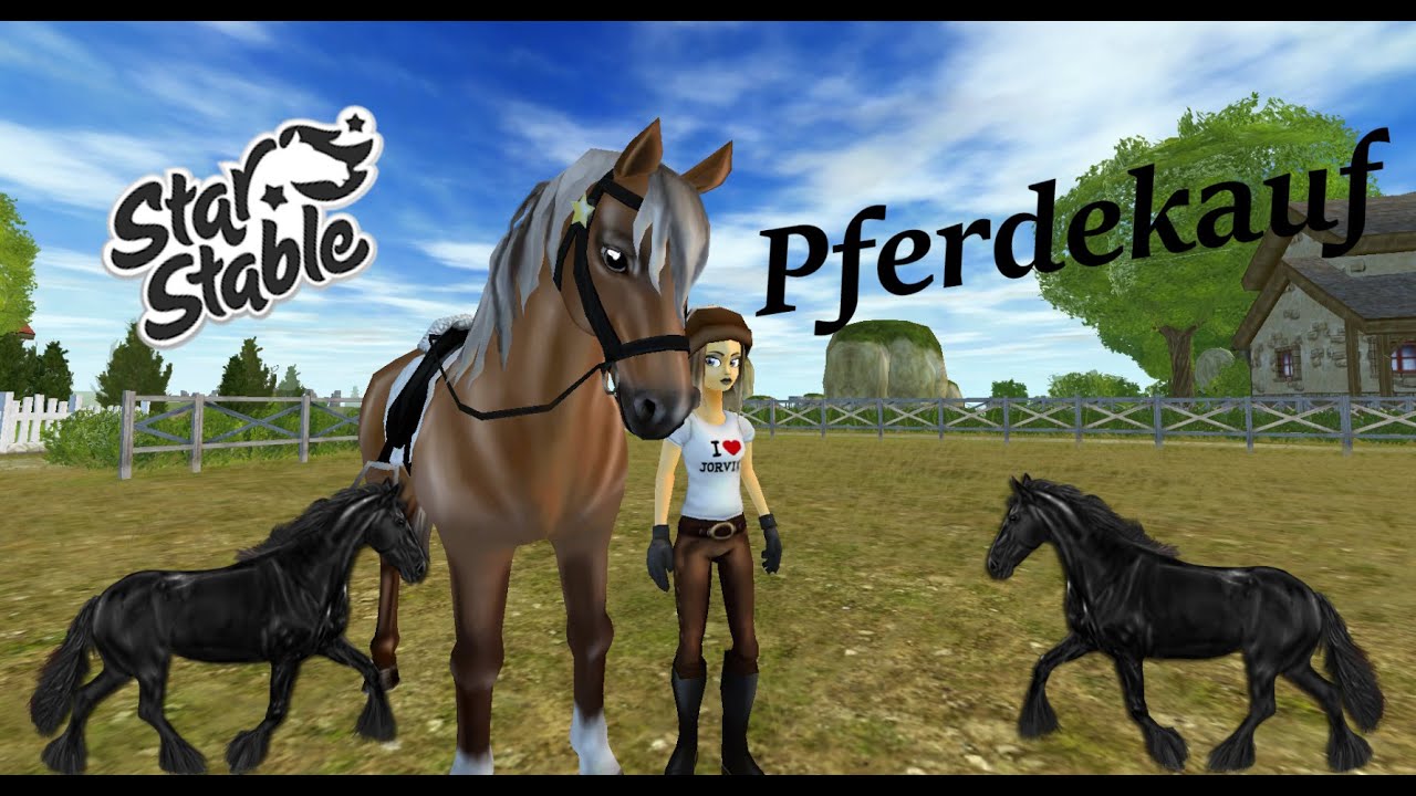 Morgan Pferdekauf │ SSO │ Sanna die Sahne - YouTube