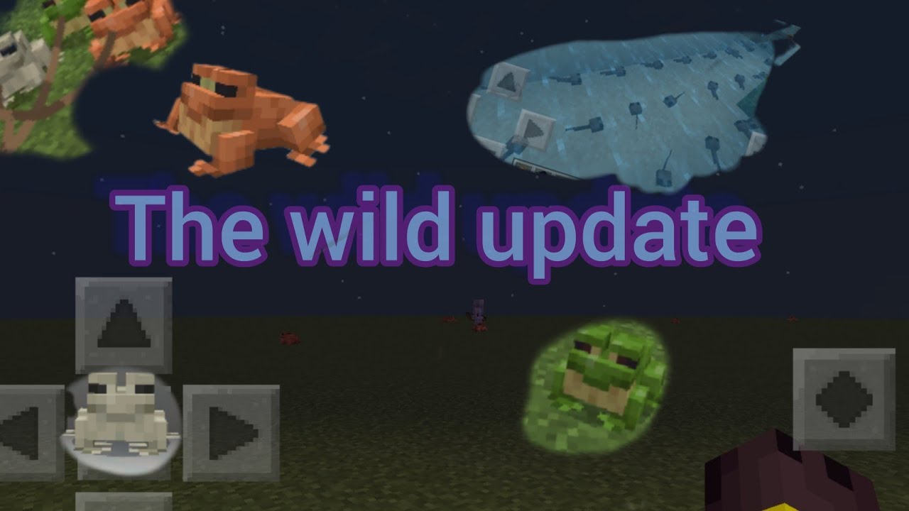 The wild update! - YouTube