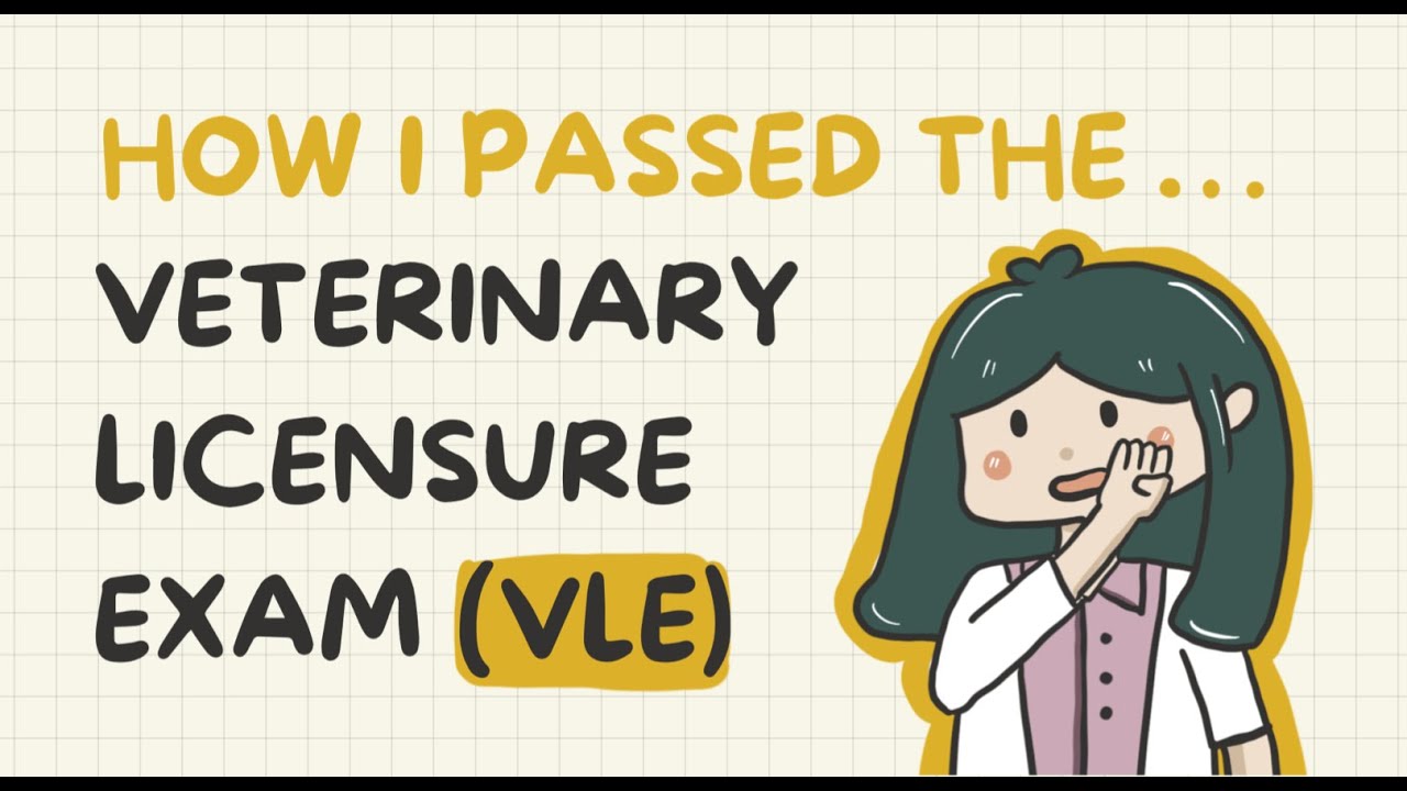 How I Passed the Veterinary Licensure Exam (VLE) - YouTube